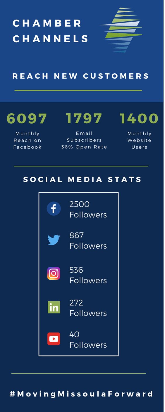 What to Include on Your Chamber's Annual Report Infographic - Izzy West LLC