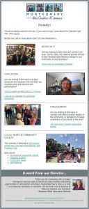 Can the public sign up for your newsletter & what do you send them ...